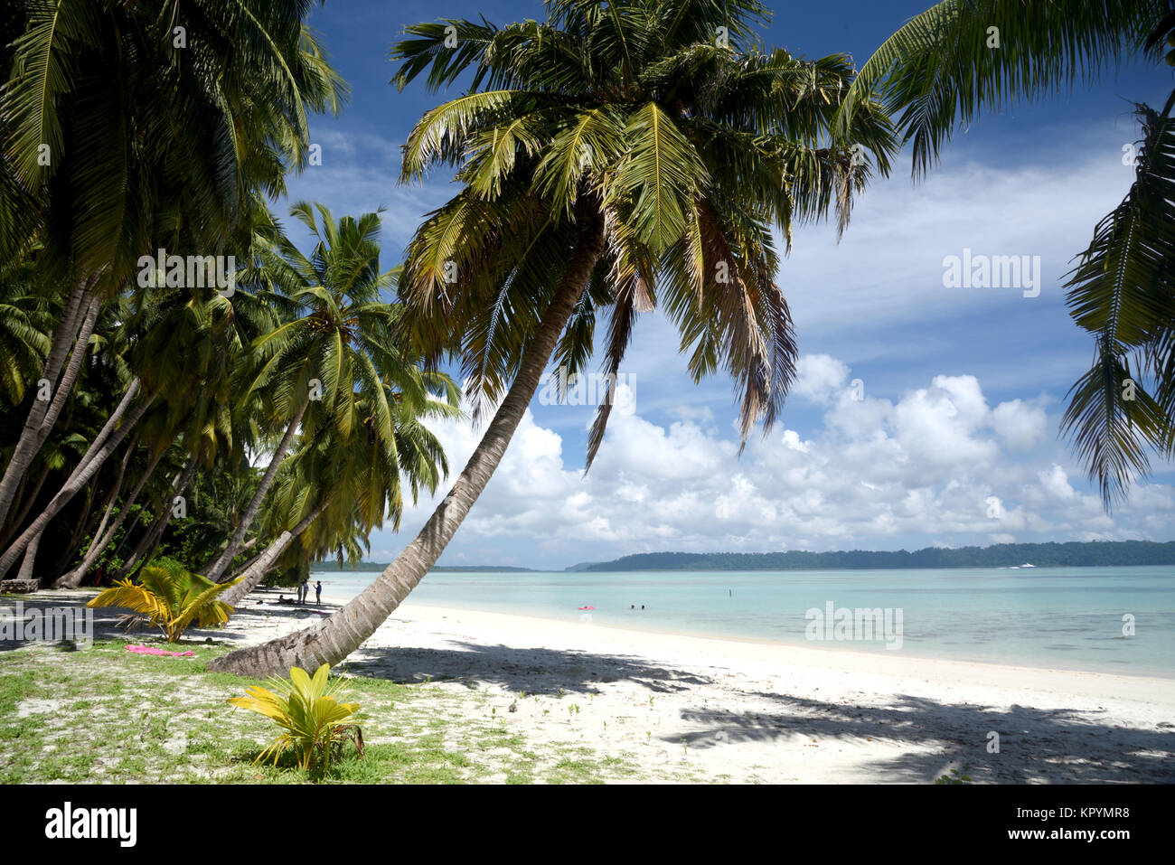 Havelock Island in the Andaman Islands in India Stock Photo - Alamy