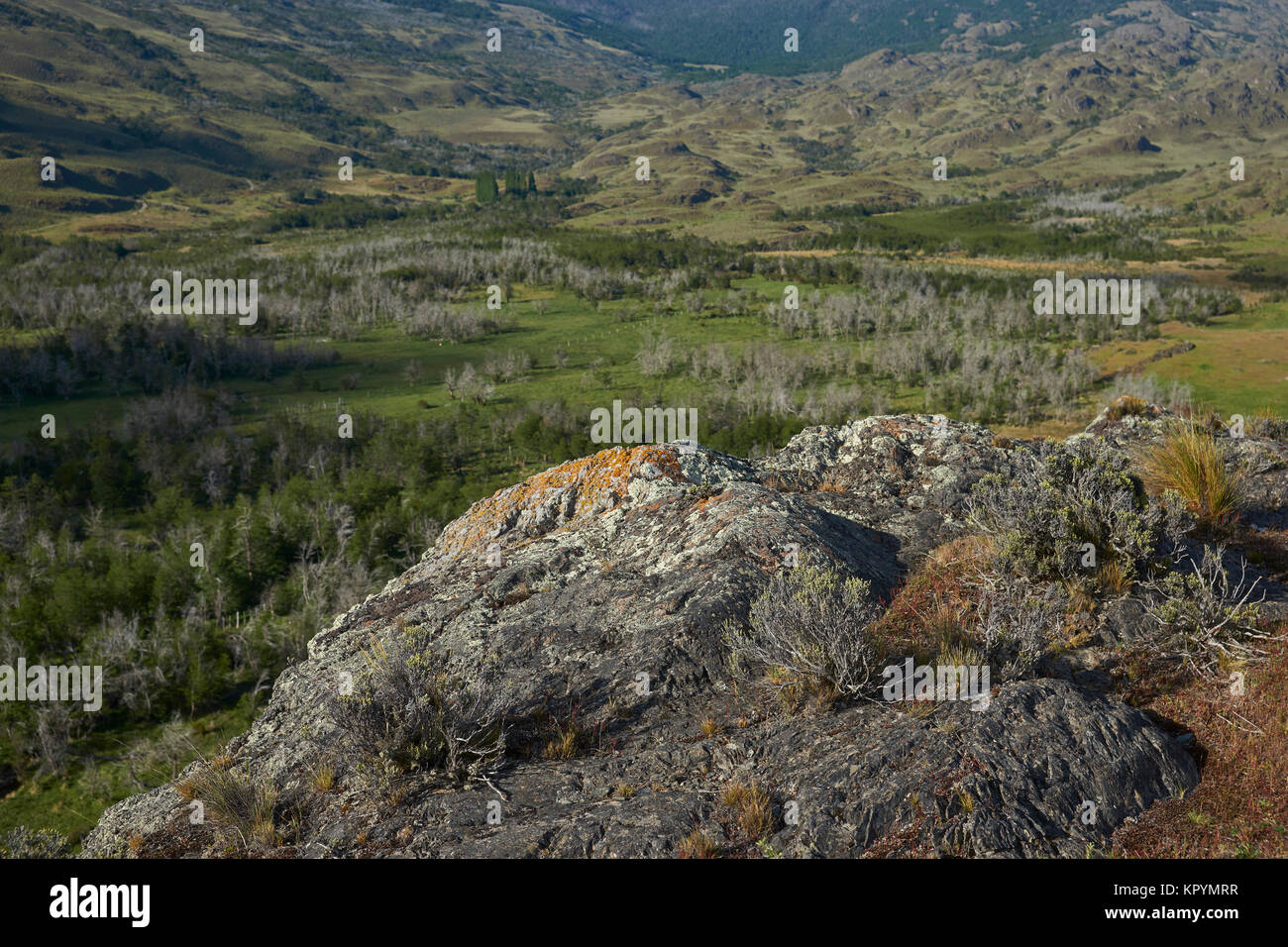 Landscape of Valle Chacabuco in northern Patagonia, Chile Stock Photo ...