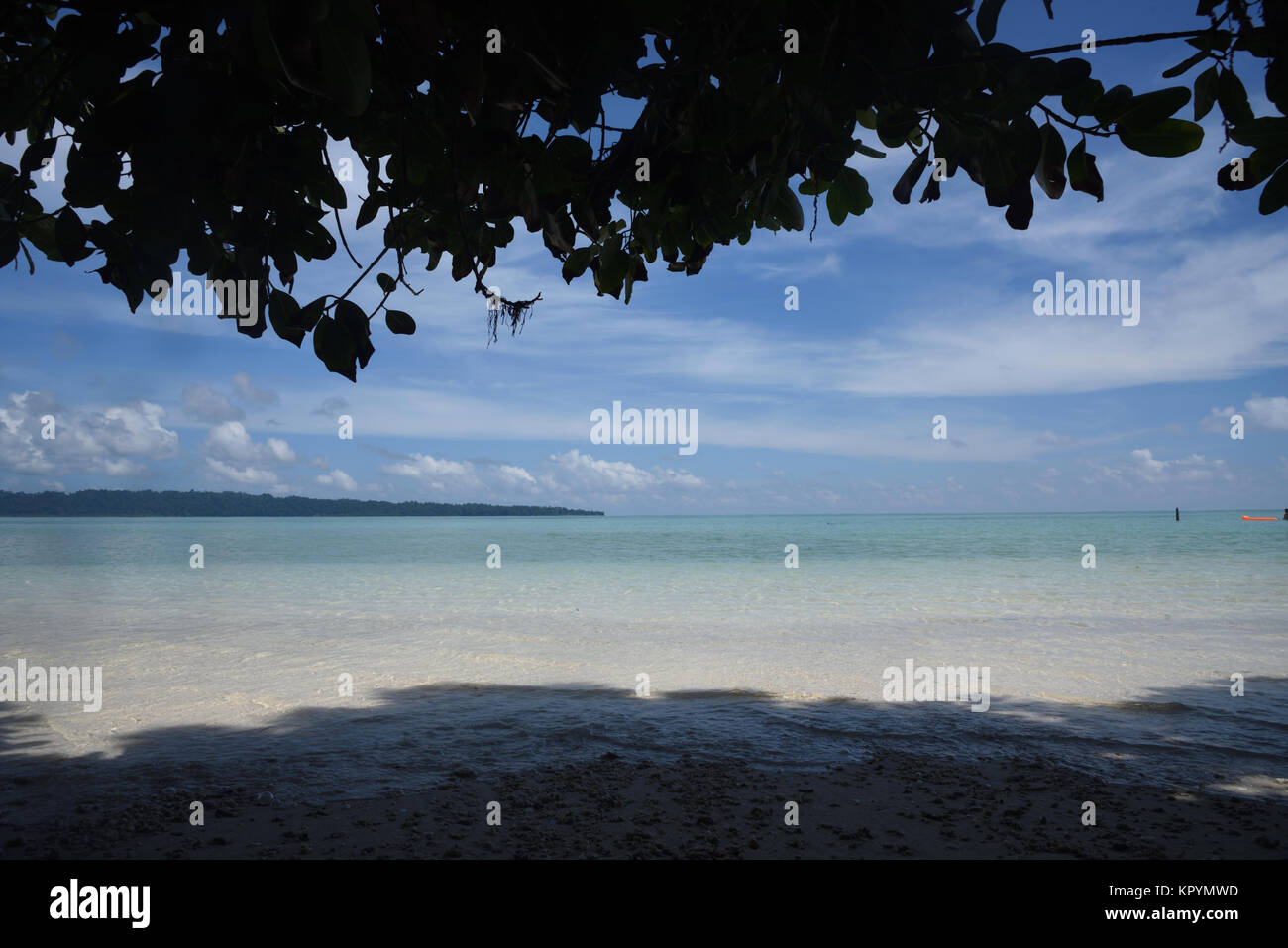 Havelock Island in the Andaman Islands in India Stock Photo - Alamy