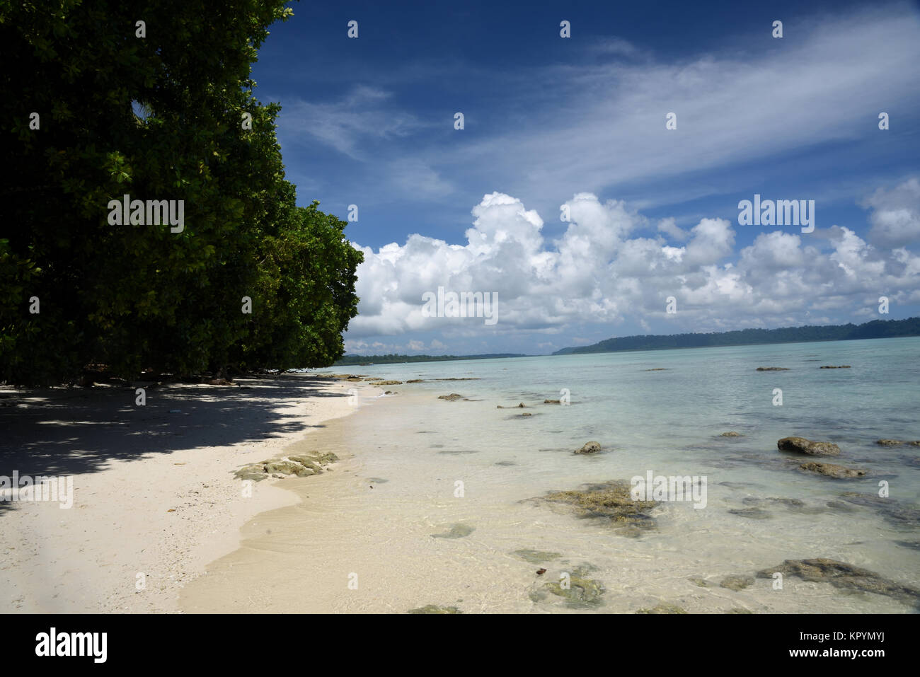 Havelock Island in the Andaman Islands in India Stock Photo - Alamy