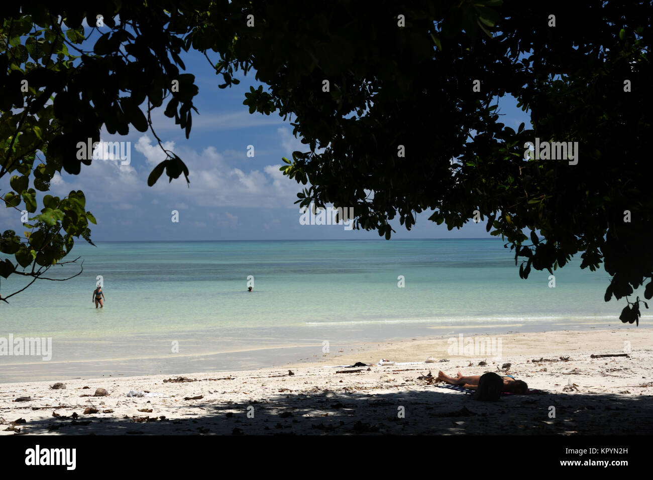 Havelock Island in the Andaman Islands in India Stock Photo - Alamy