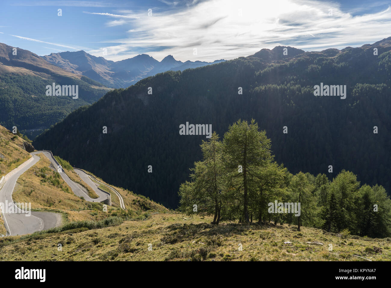 Mountains, peaks and trees landscape, natural environment. Timmelsjoch ...
