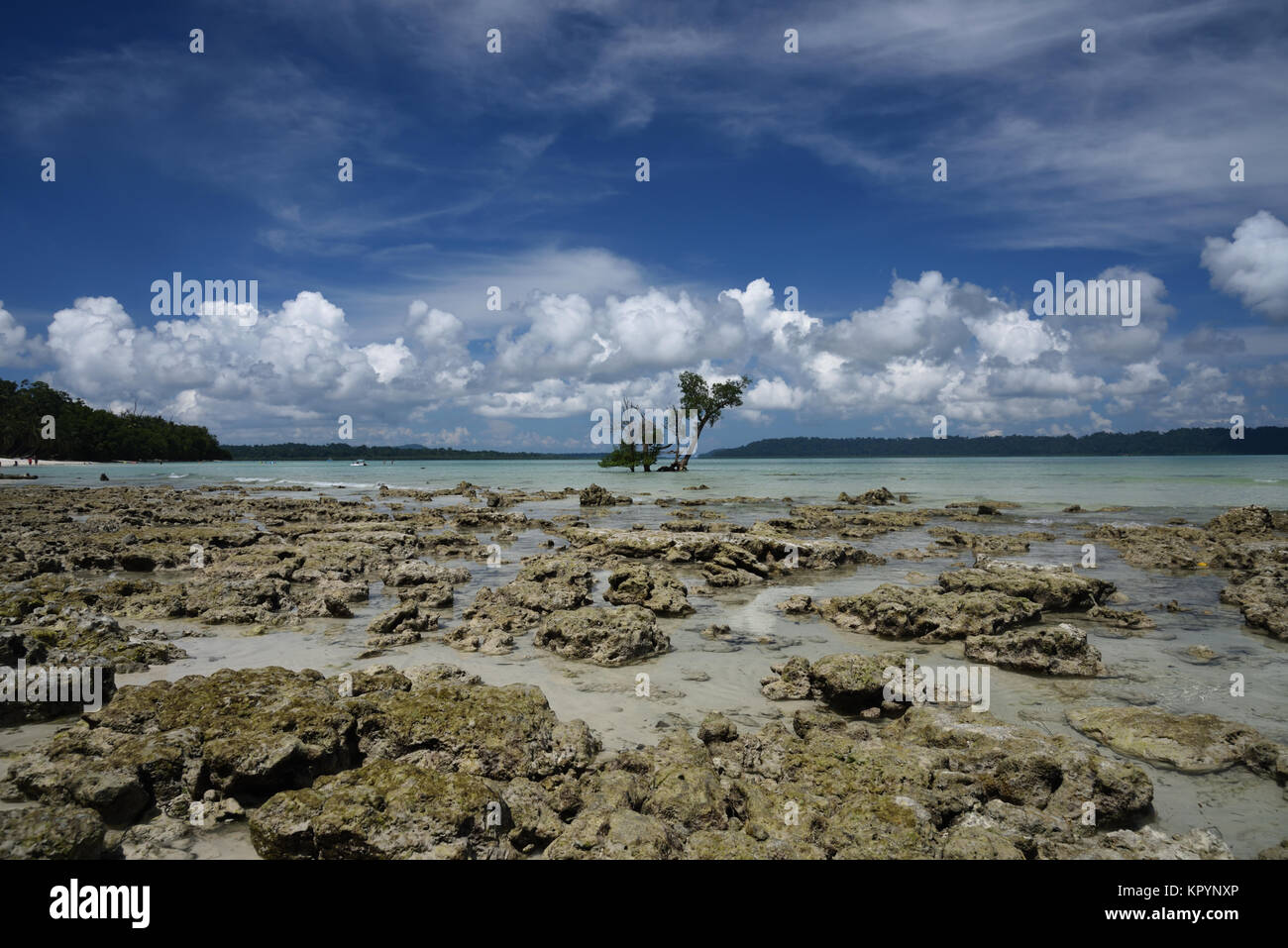 Havelock Island in the Andaman Islands in India Stock Photo - Alamy