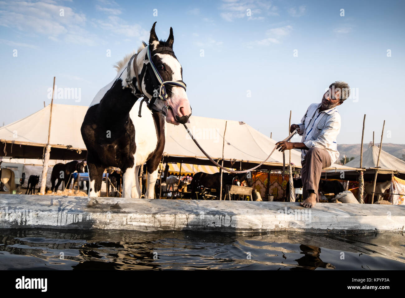 Pushkar Camel Fair, Rajasthan Stock Photo - Alamy