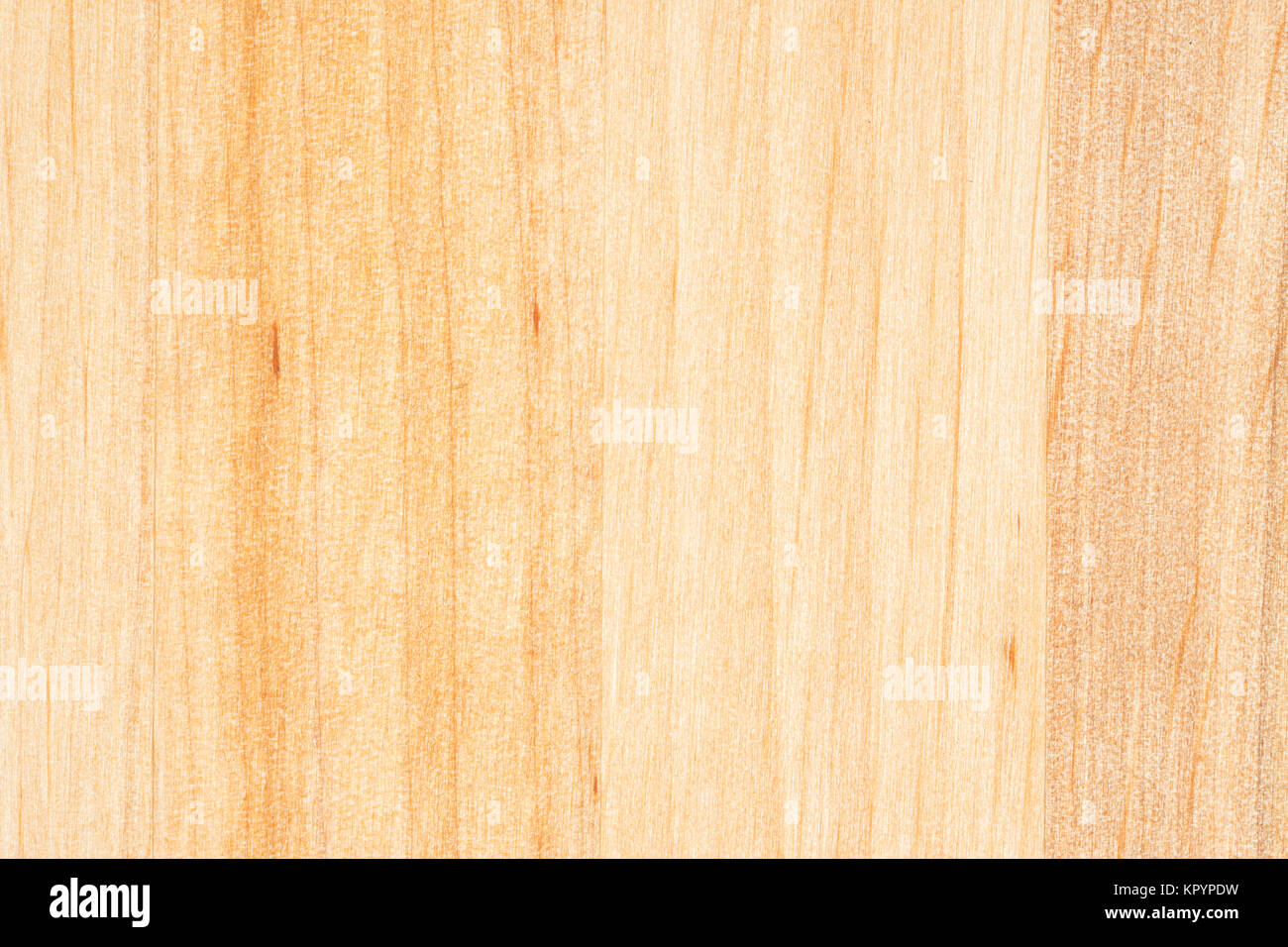 Tree texture. Timber light natural pattern. Wood grain background Stock ...
