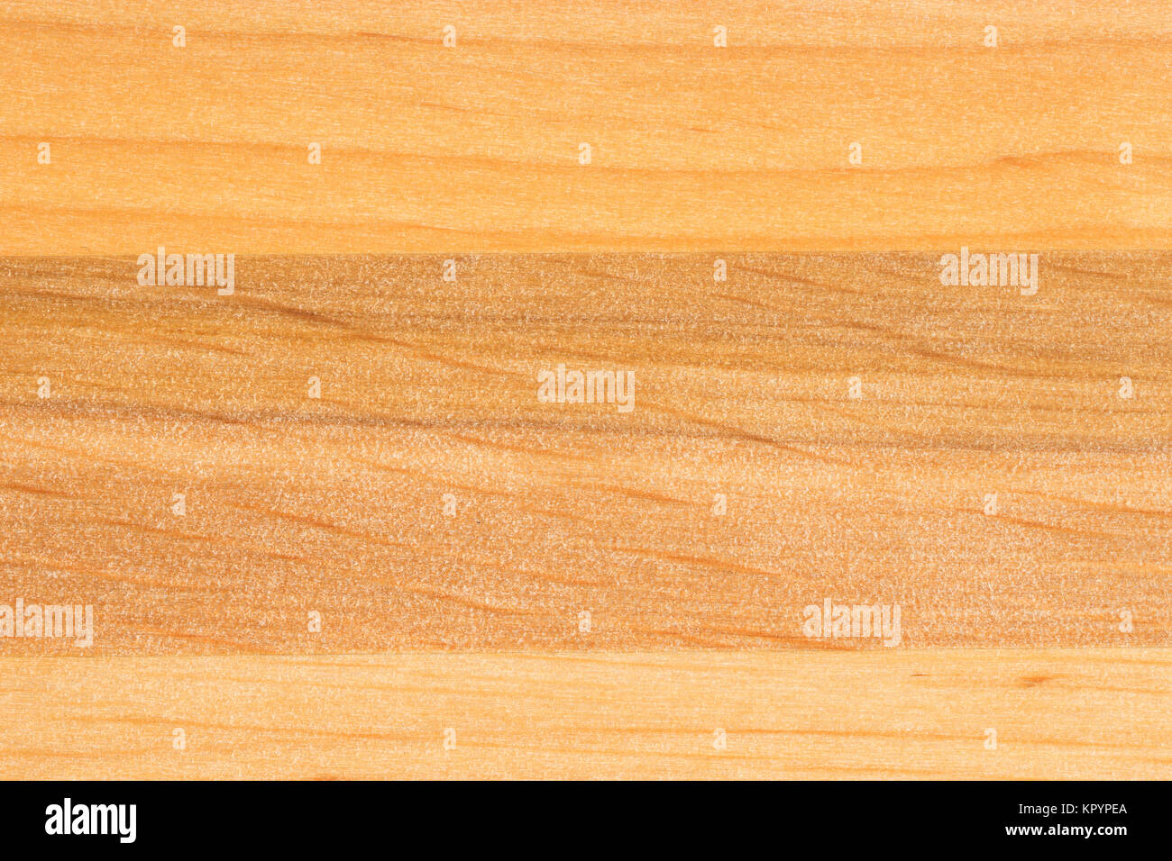 Tree texture. Timber light natural pattern. Wood grain background Stock ...