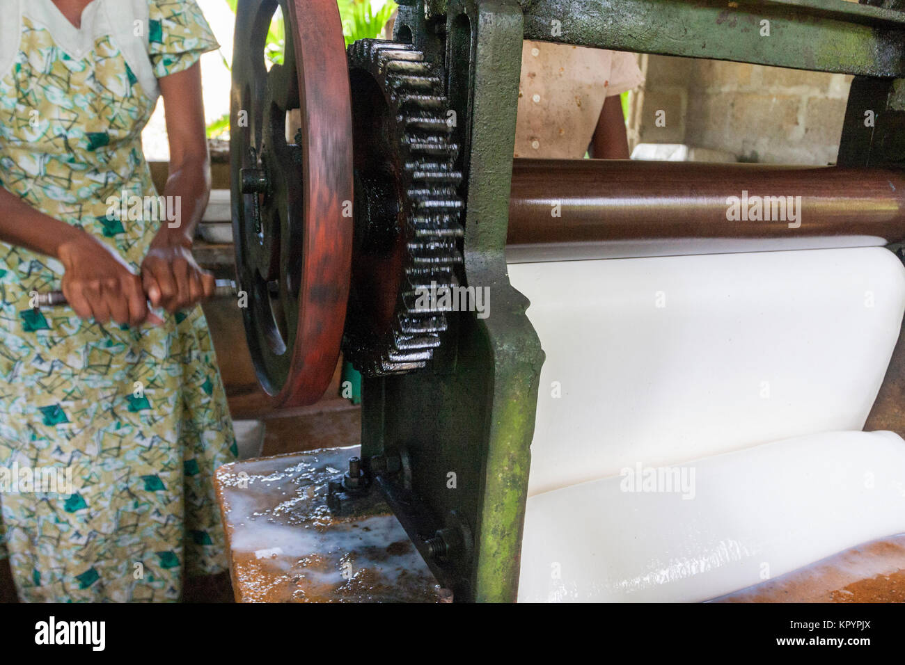 Coagulation of rubber latex hi-res stock photography and images - Alamy