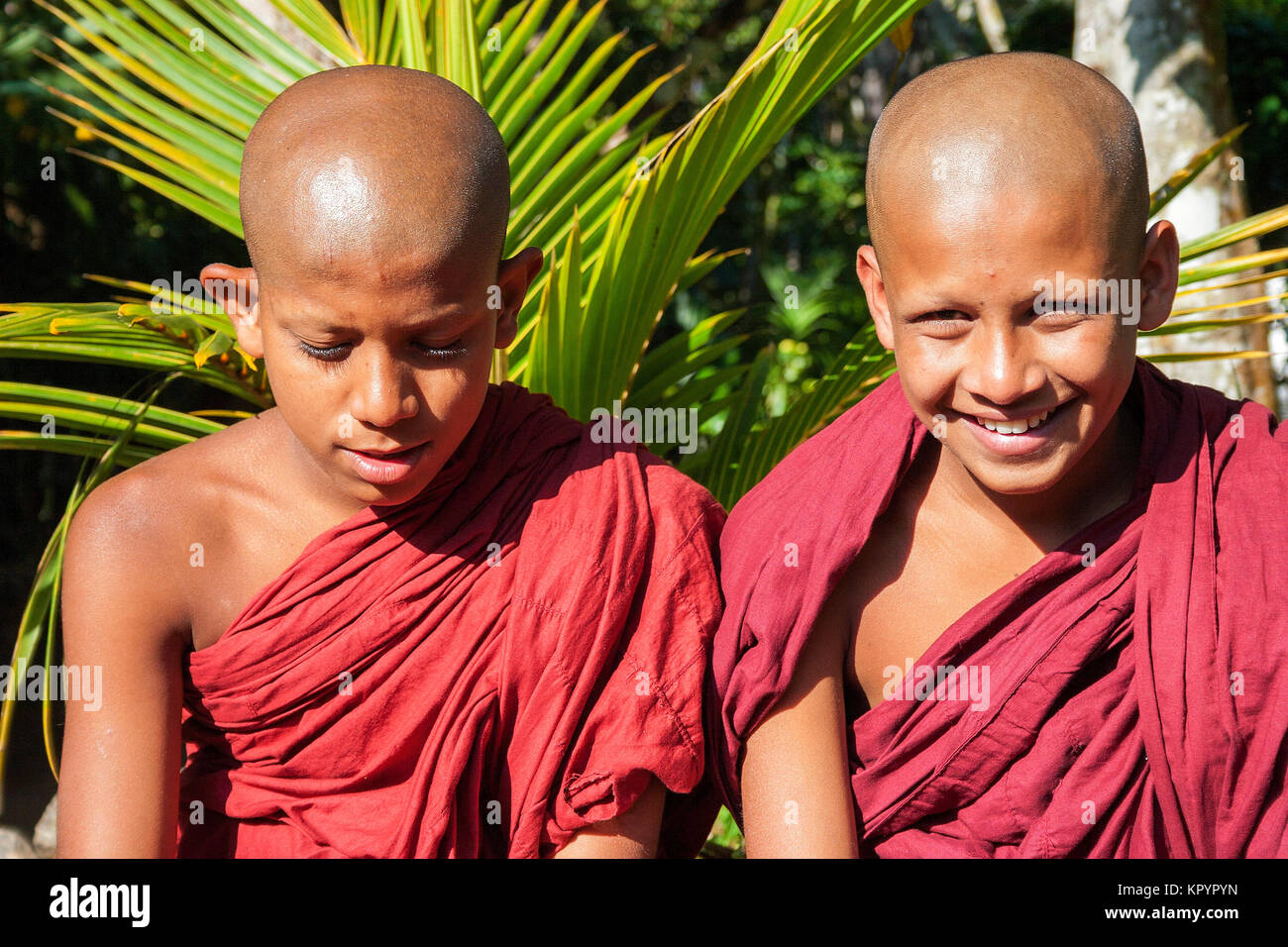 Children monks in Sri Lanka Stock Photo - Alamy