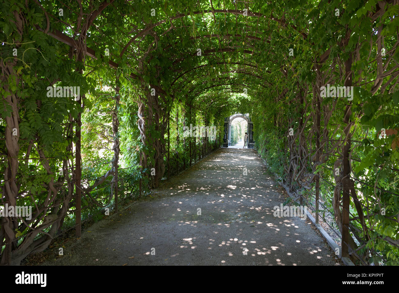 Arched pergola hi-res stock photography and images - Alamy