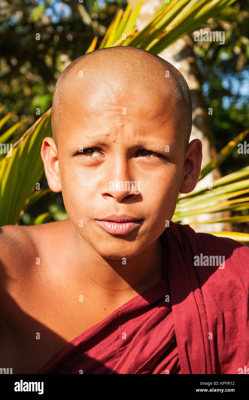 Children monks in Sri Lanka Stock Photo - Alamy