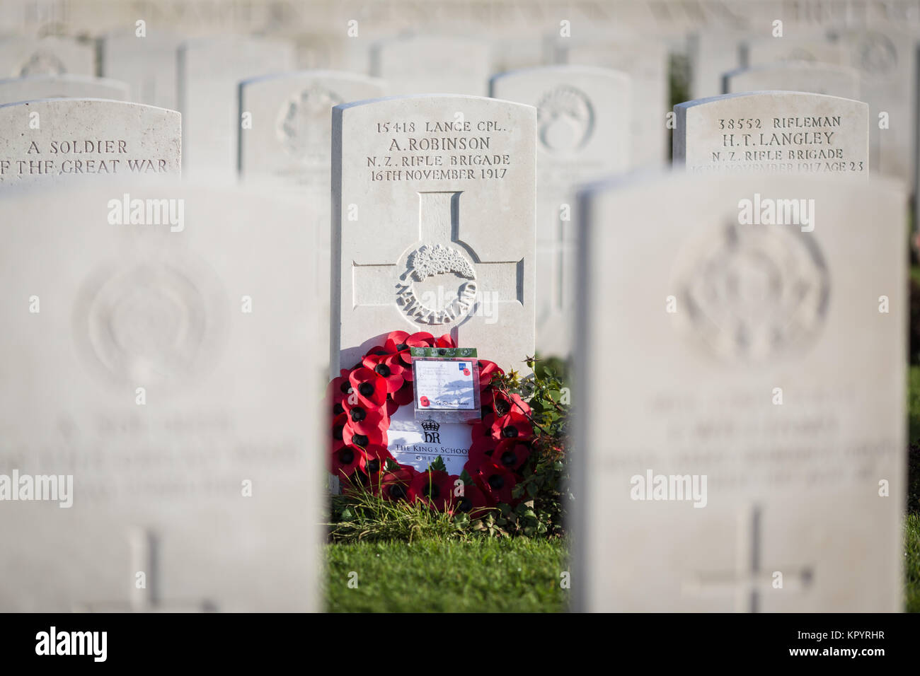 Poppy wreath at the grave of A. Robinson from New Zealand on the Tyne ...
