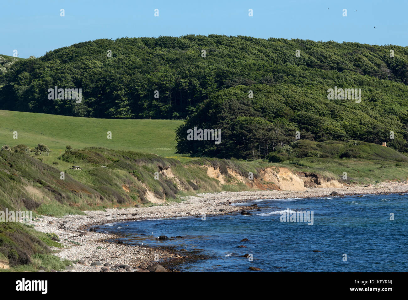 The southern coast of the tip of Røsnæs, Kalundborg, Denmark, the areas ...