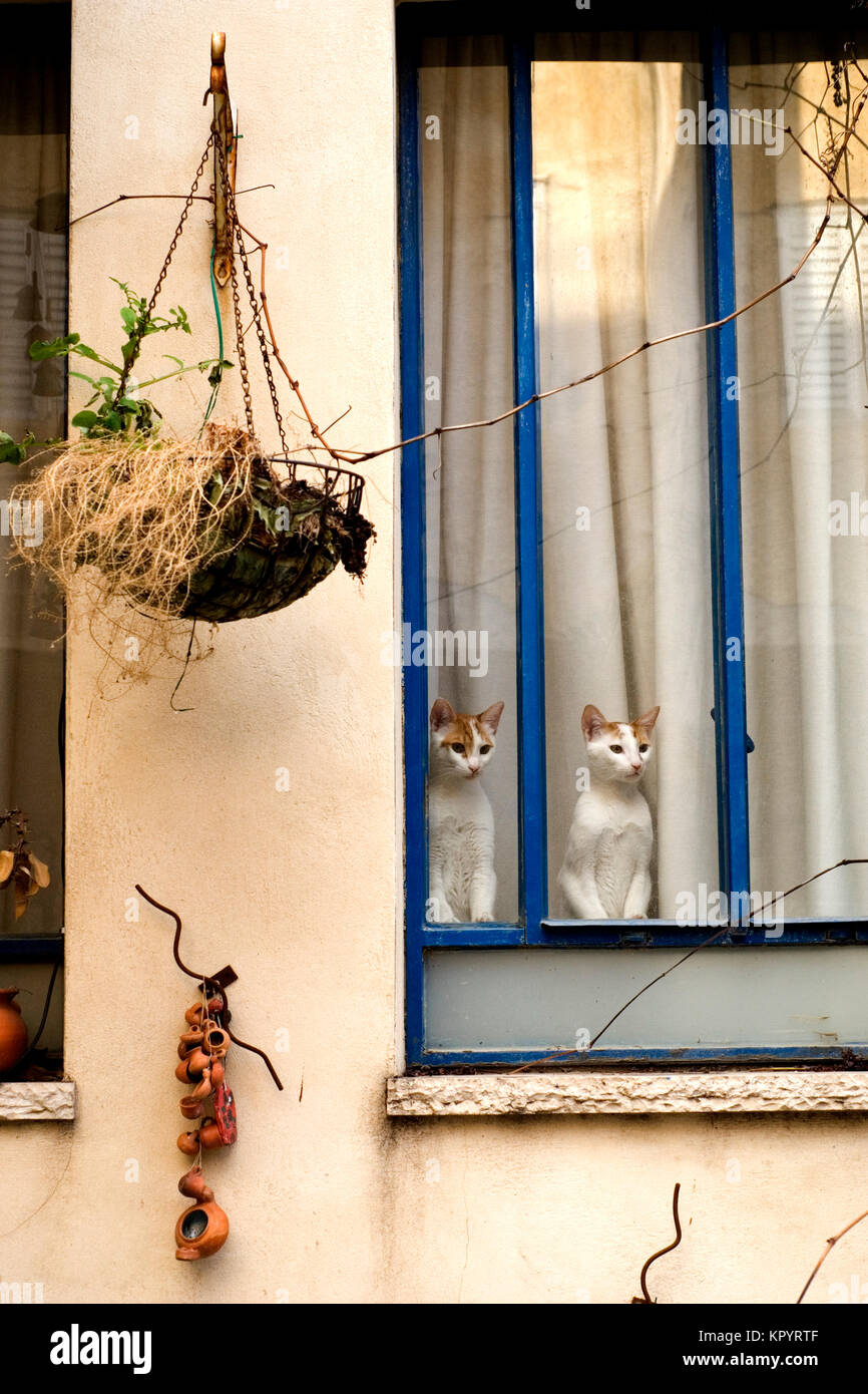Peeping tom view hi-res stock photography and images - Alamy