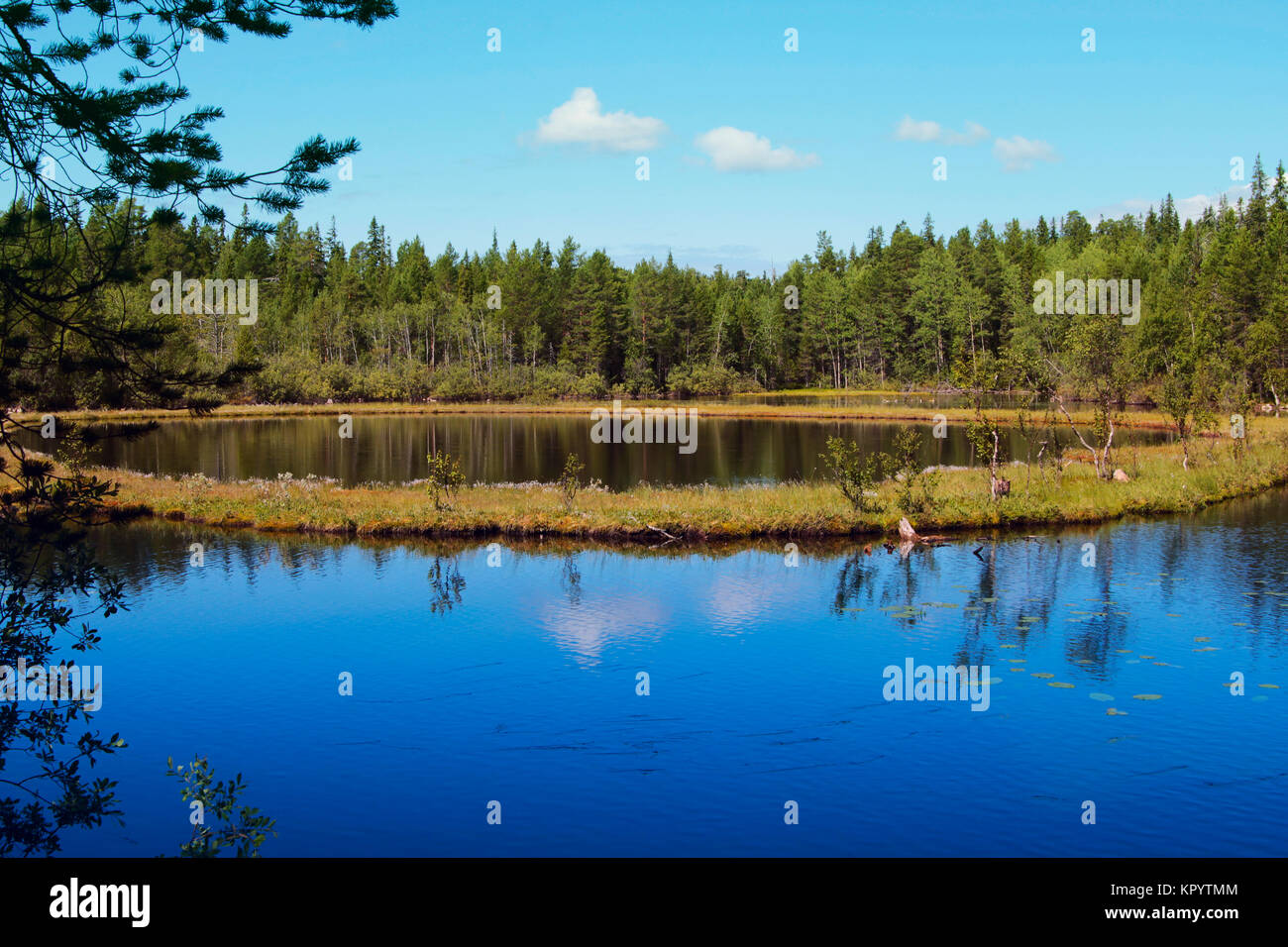 Yellow Lake in the blue lake and forest Stock Photo - Alamy