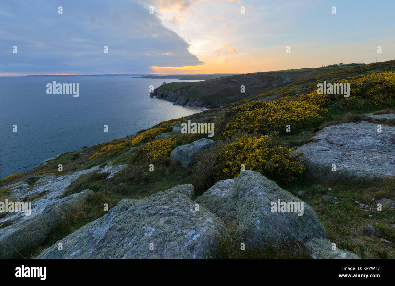Dramatic Clifftops at Rinsey in West Cornwall Stock Photo - Alamy