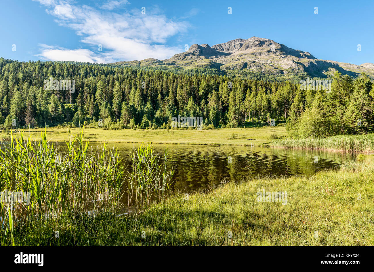 Summer Landscape at Lej da Staz (Lake Staz) , Engadine, Grisons ...