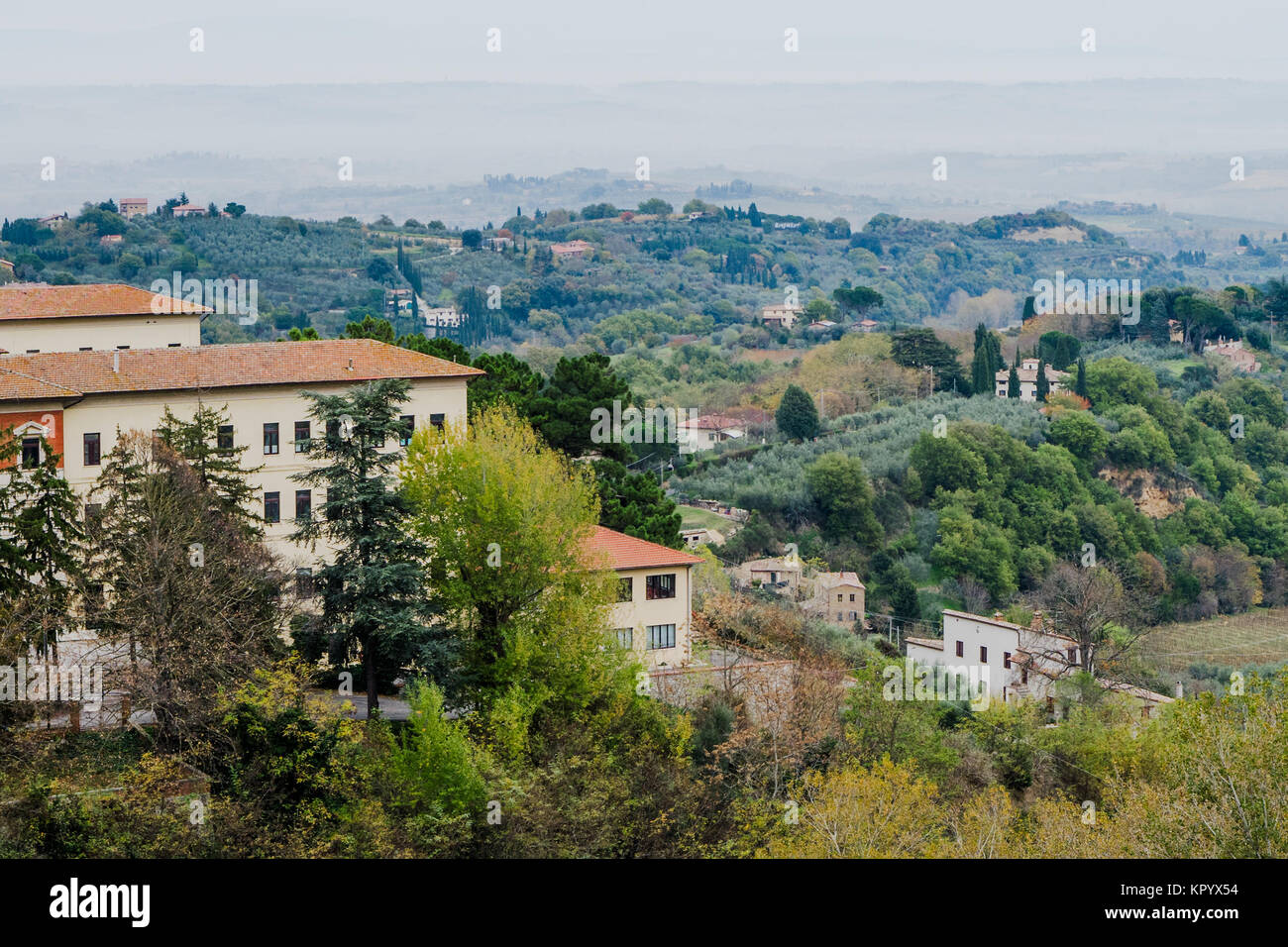 Tuscan landscape with trees, houses and green hills in Tuscany, Italy ...