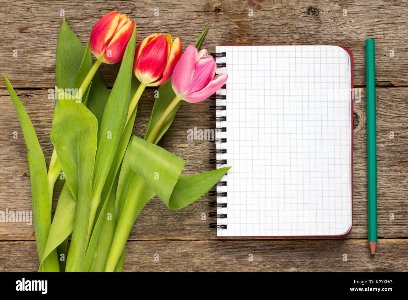Tulip bouquet and blank notebook Stock Photo - Alamy