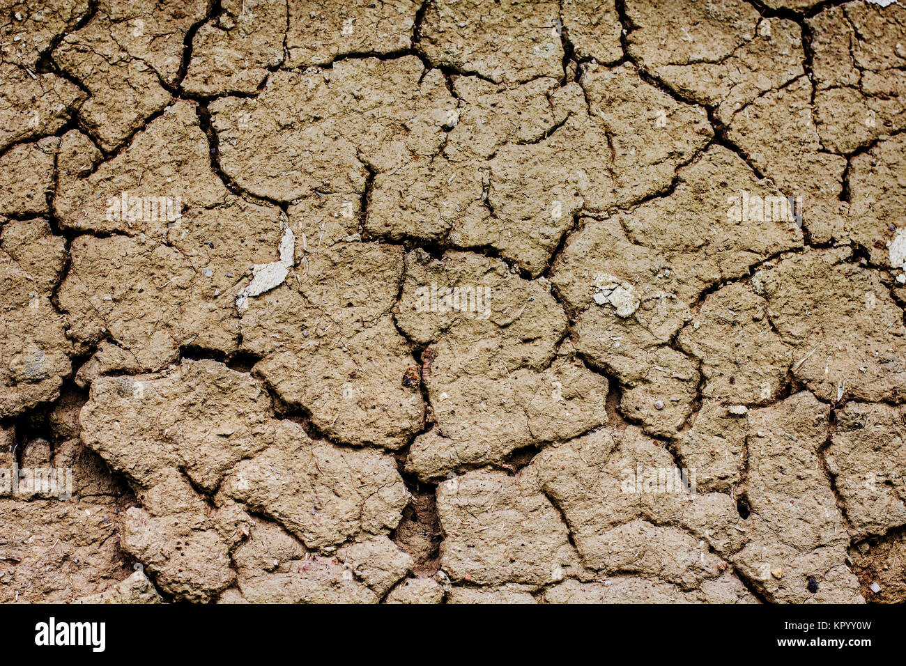 Dried and Cracked Earth Stock Photo - Alamy