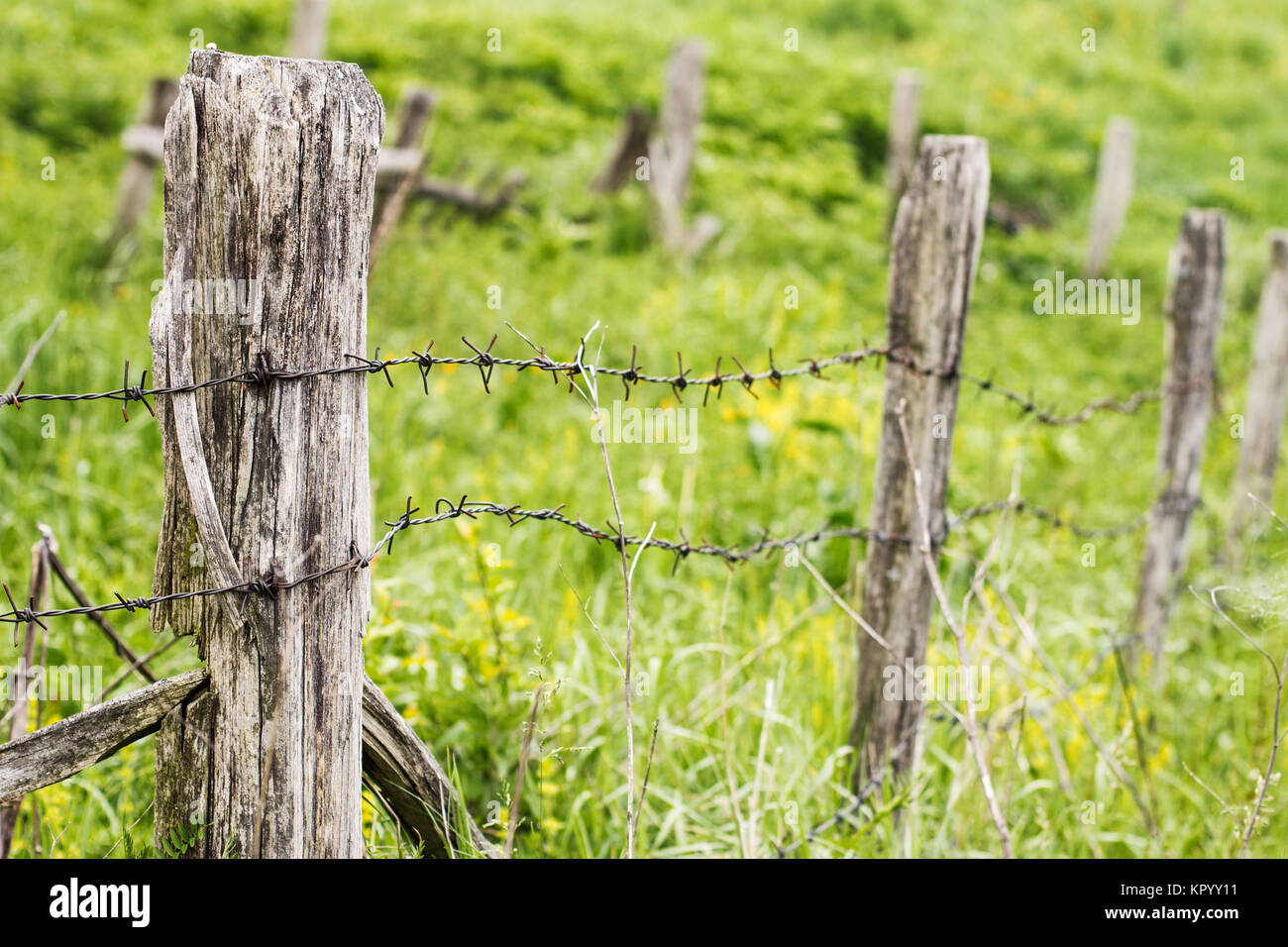 Old farm fence hi-res stock photography and images - Alamy