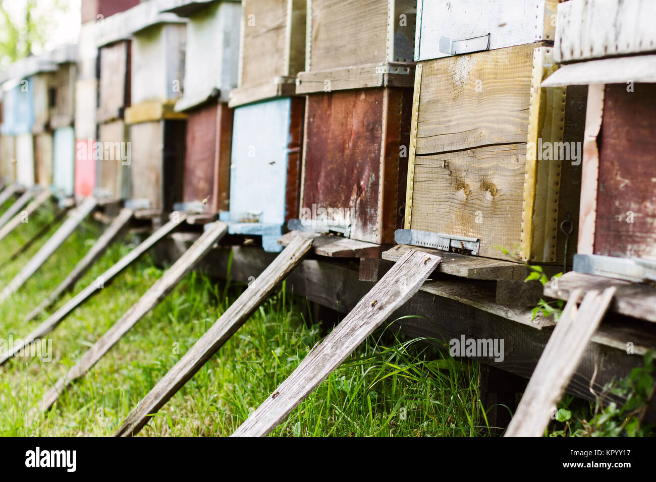 Bee Hives Outdoor Stock Photo - Alamy