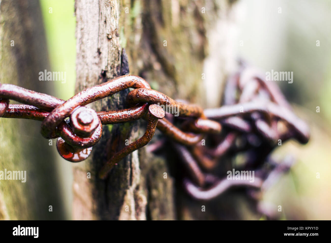 Rusty Chains Security Stock Photo - Alamy