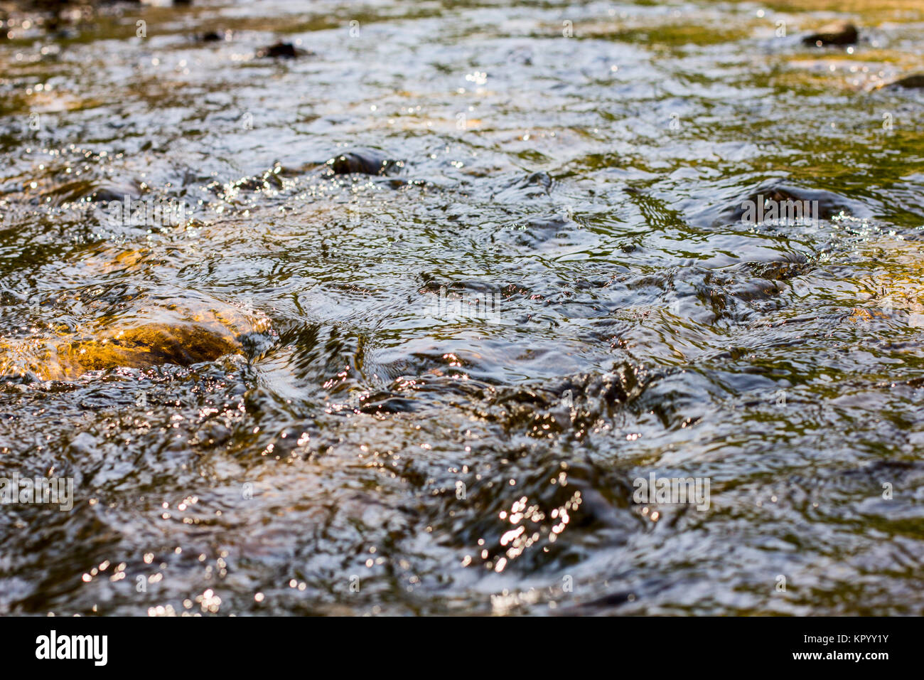 Spring Stream Water Stock Photo - Alamy