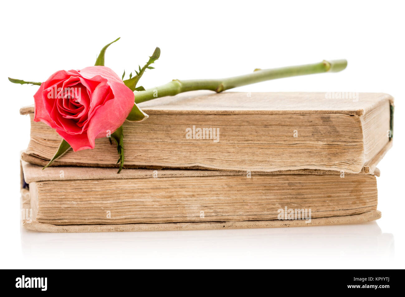 Plant establishment Cut Out Stock Images & Pictures - Alamy