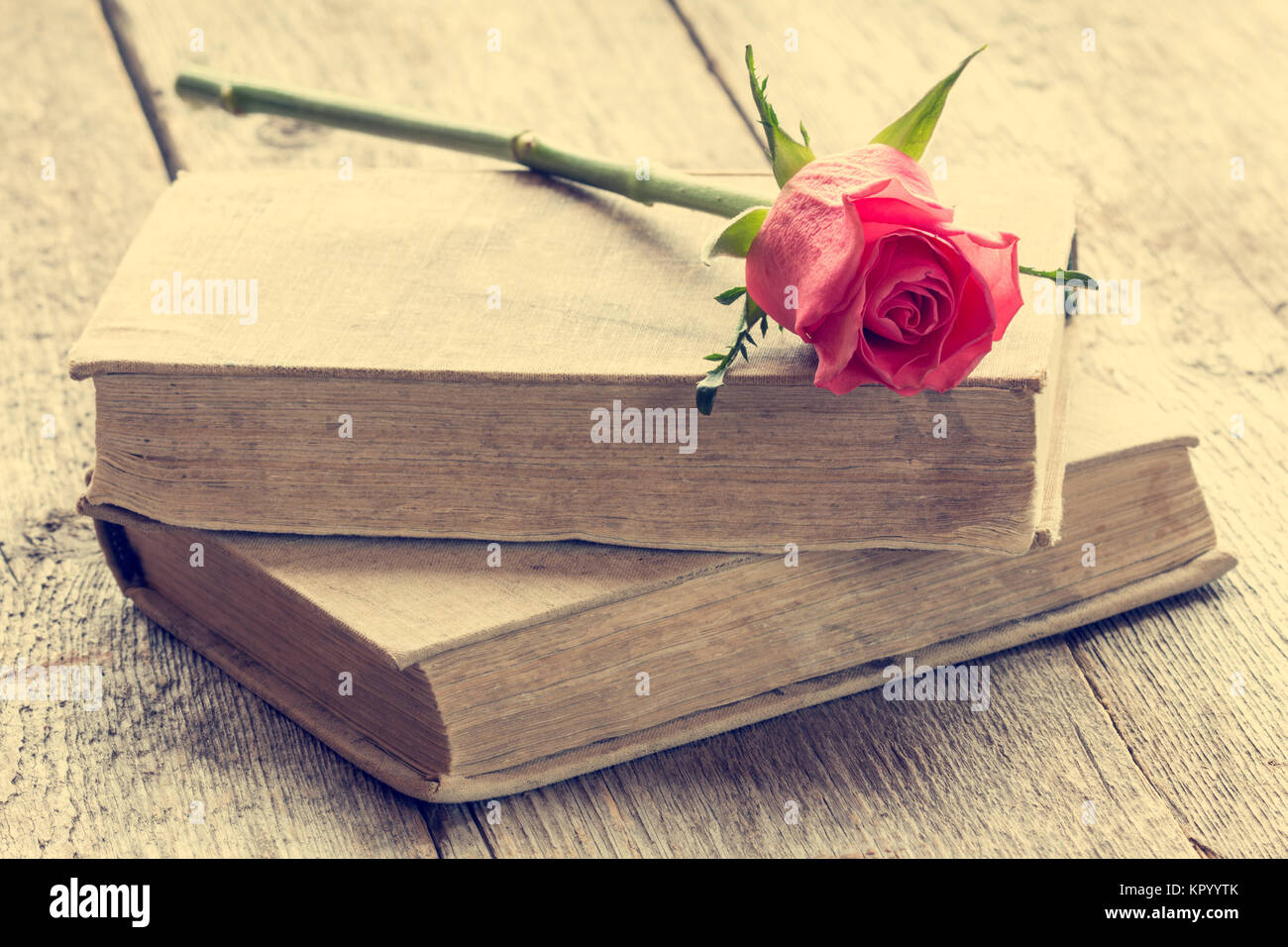 Old Books And Roses