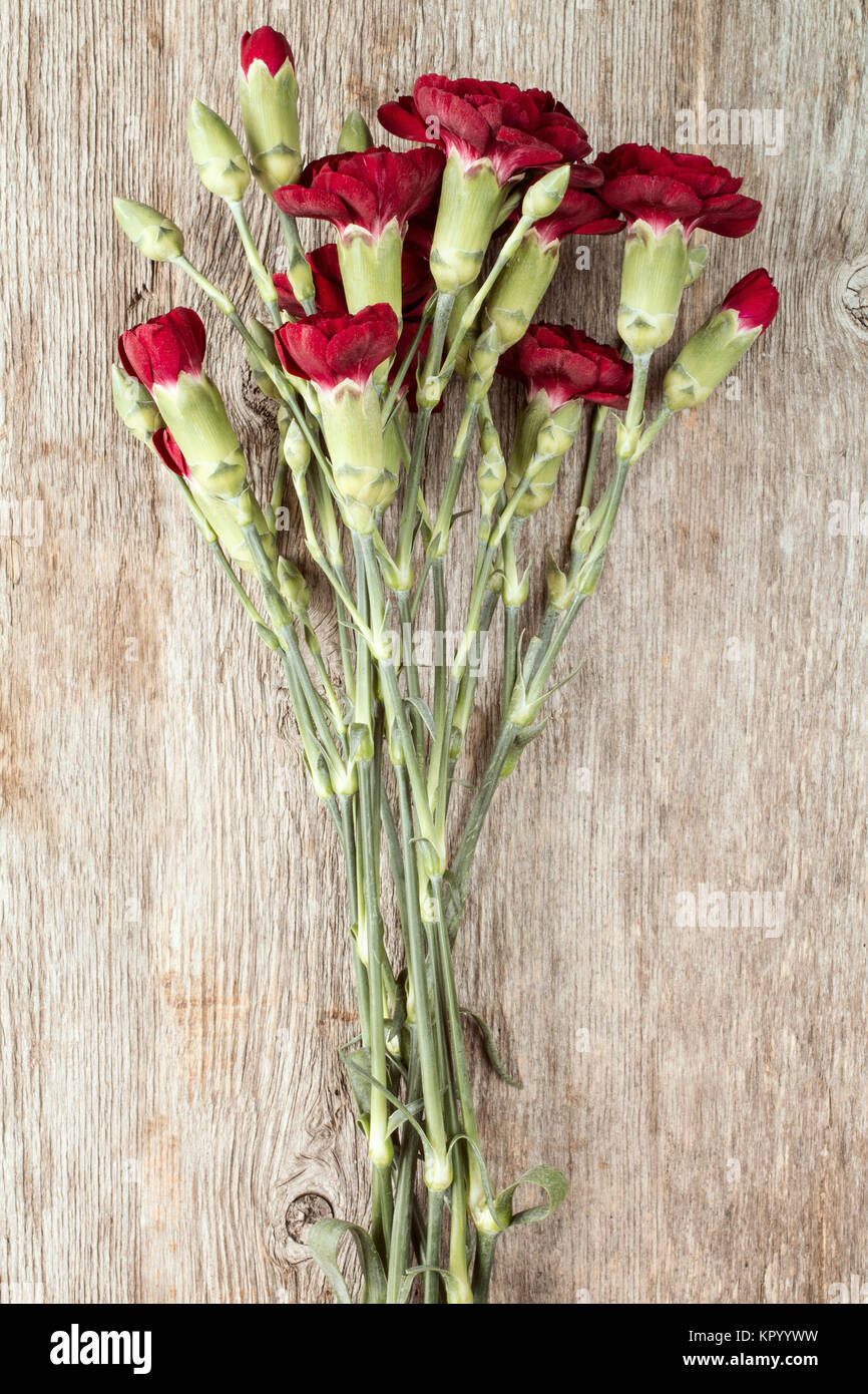Bouquet of carnations Stock Photo - Alamy
