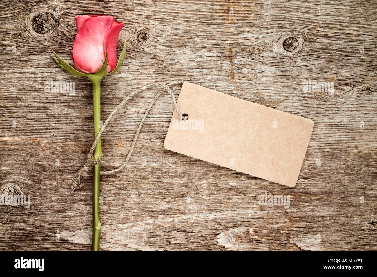 Rose with blank tag tied with string Stock Photo - Alamy