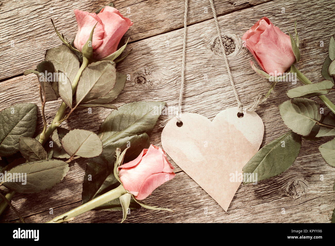 Hanging flower roses hi-res stock photography and images - Alamy