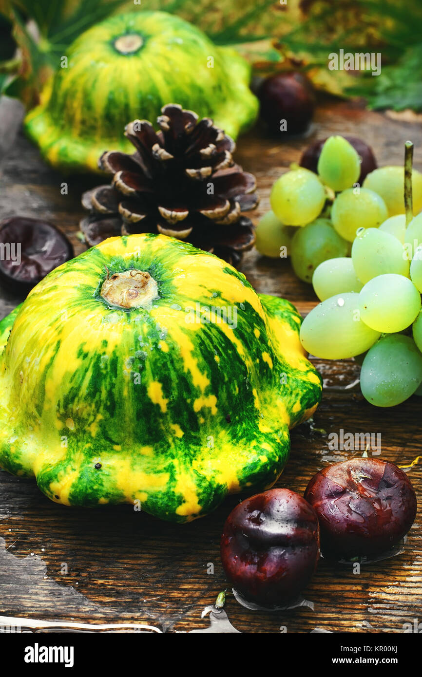 Harvest of squashes,autumn conker and cones on wooden background Stock ...