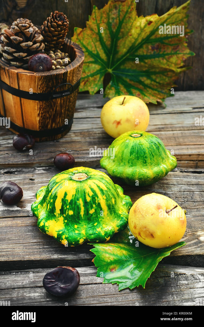 Harvest of squashes,autumn conker and cones on wooden background Stock ...