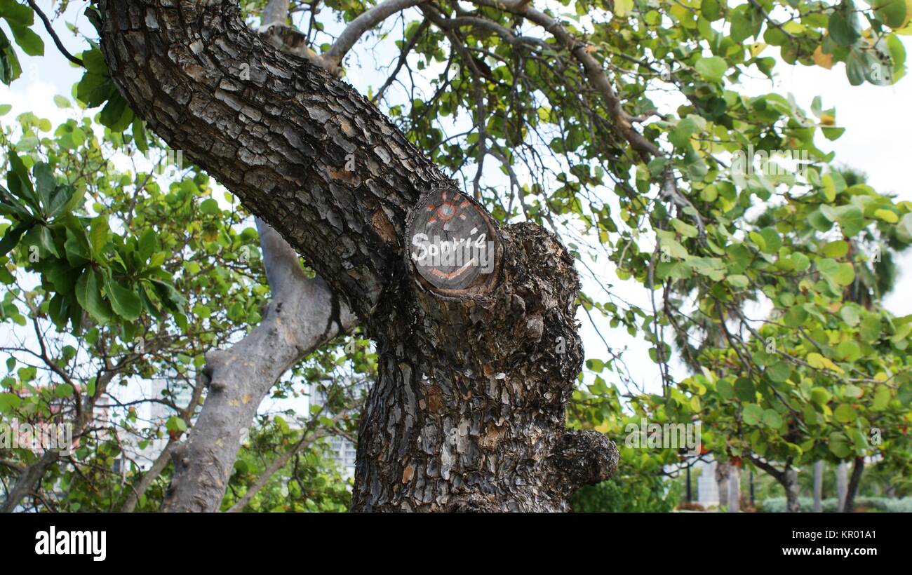 Pollution puerto rico hi-res stock photography and images - Alamy