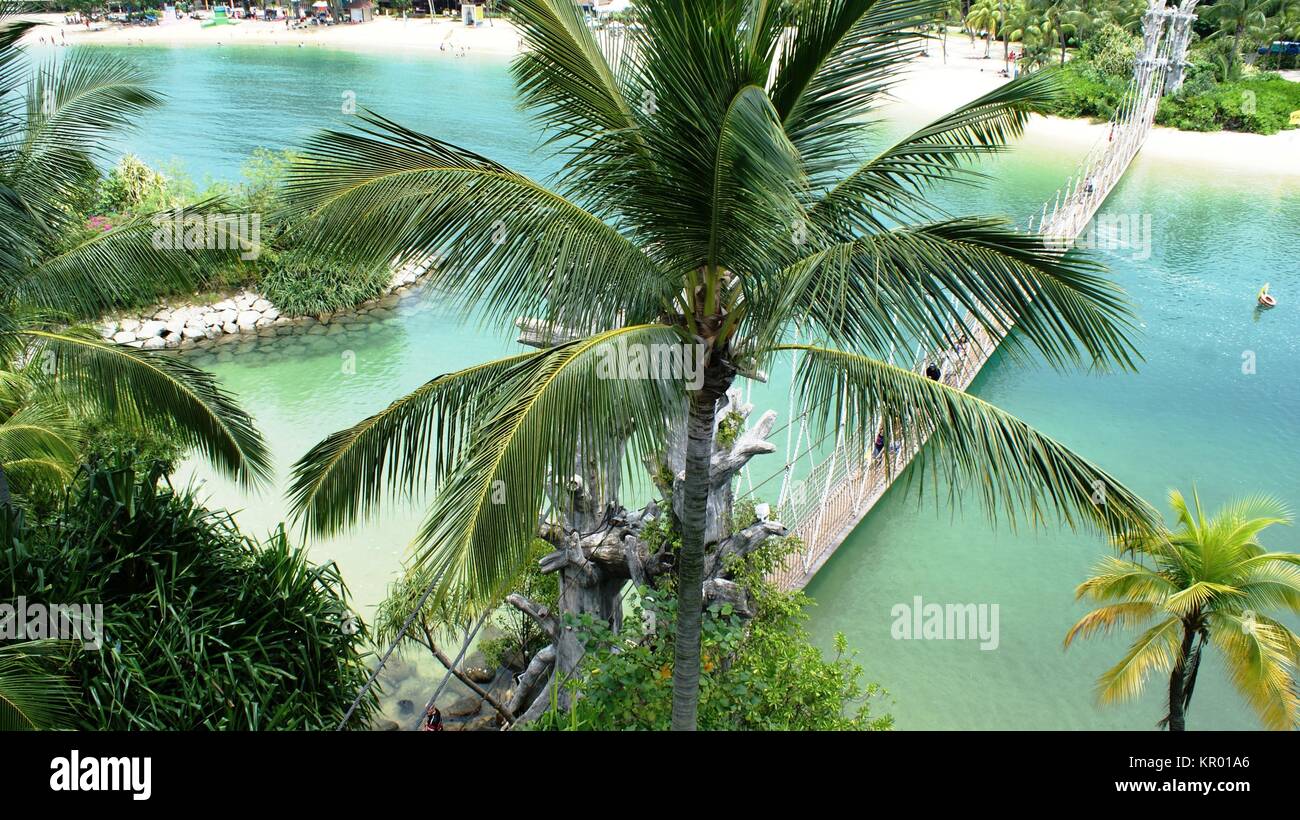 Beautiful and clear nature of Singapore Stock Photo - Alamy