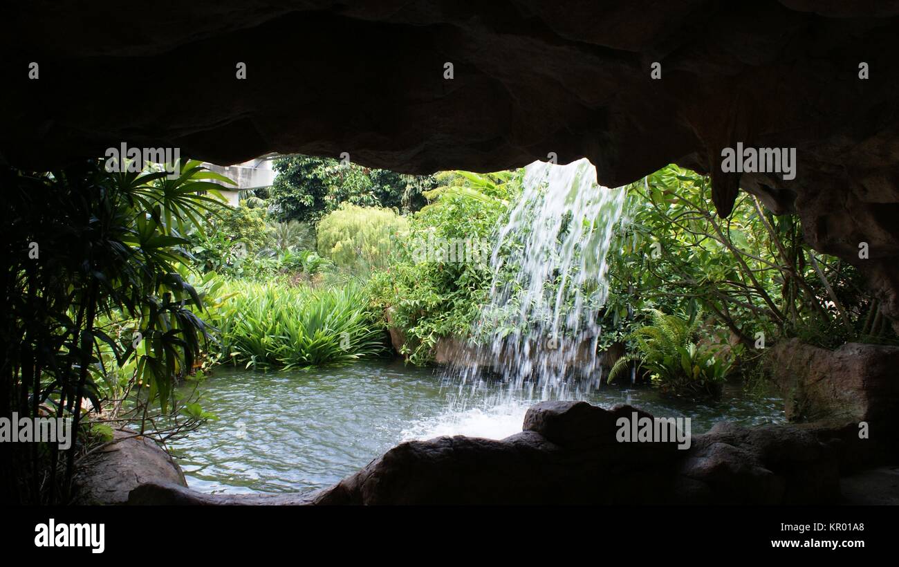 Beautiful and clear nature of Singapore Stock Photo - Alamy