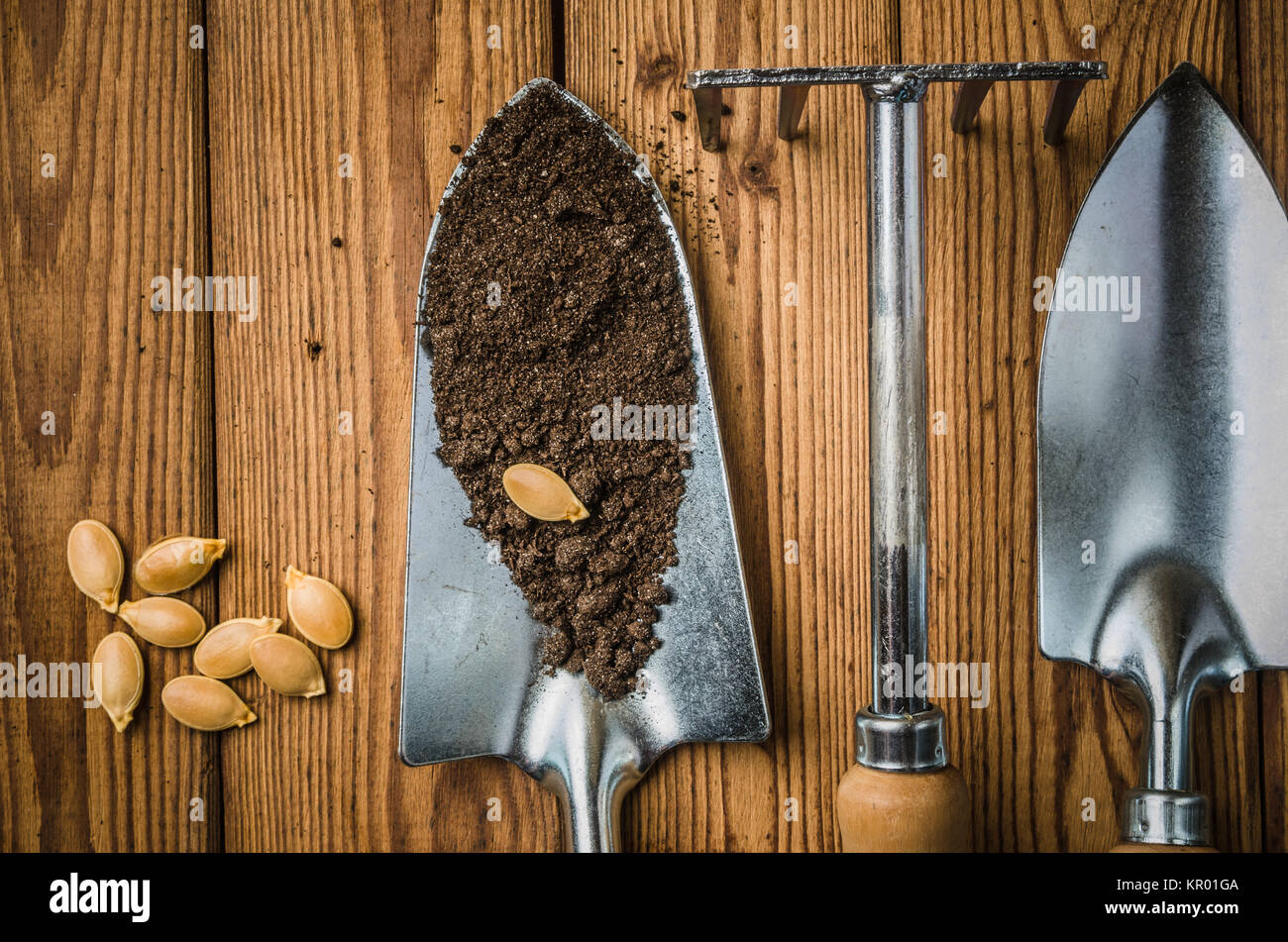 Still-life with seeds and the garden tool, the top view Stock Photo - Alamy
