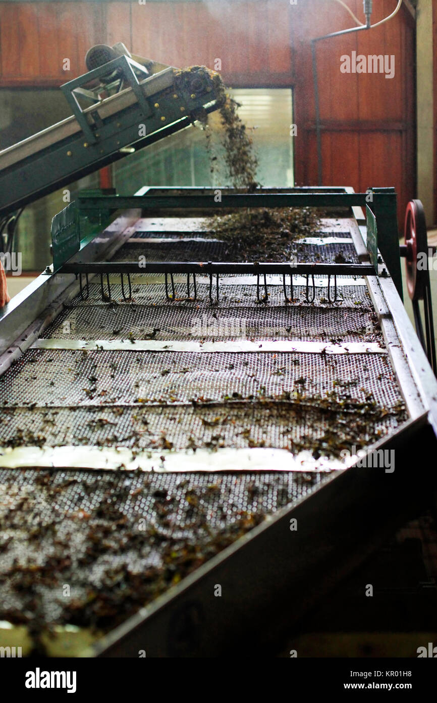 Ceylon Tea Factory on Sri Lanka Stock Photo - Alamy