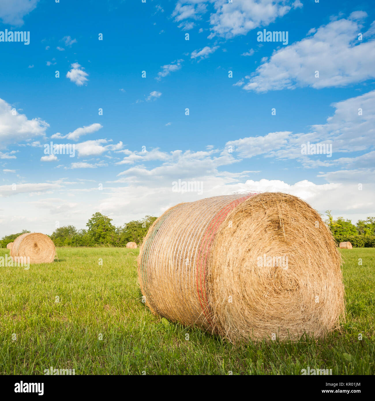 Big hay bale rolls in a green field with blue sky and clouds Stock ...