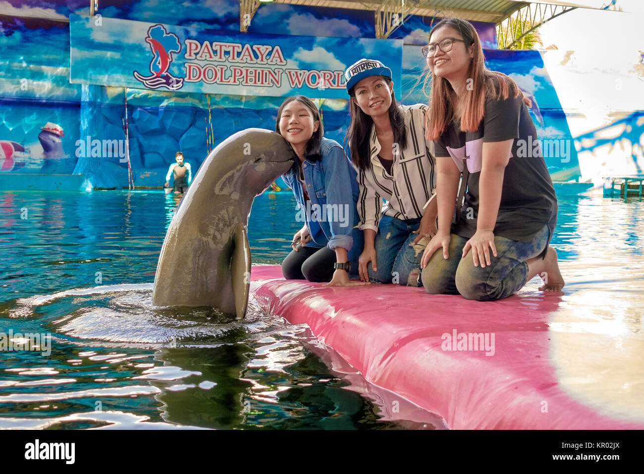 Irrawaddy Dolphin, Human animal interaction Stock Photo - Alamy