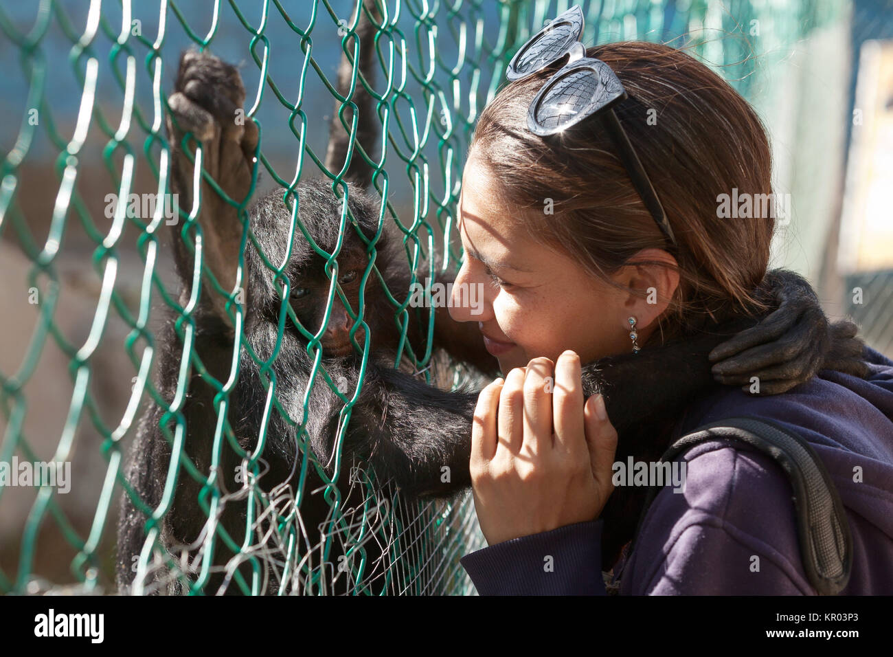 Portrait of a young woman playing and hugging spider monkey Stock Photo ...