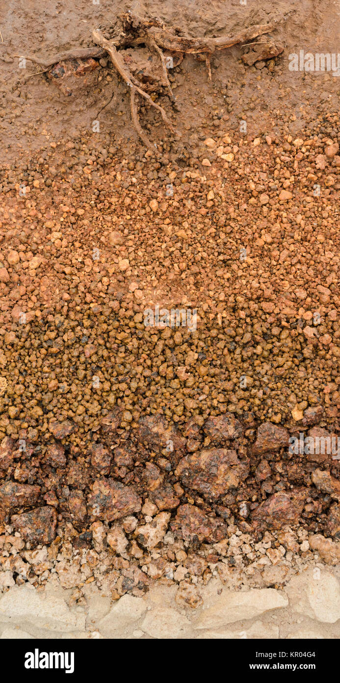 Layer of soil underground Stock Photo - Alamy