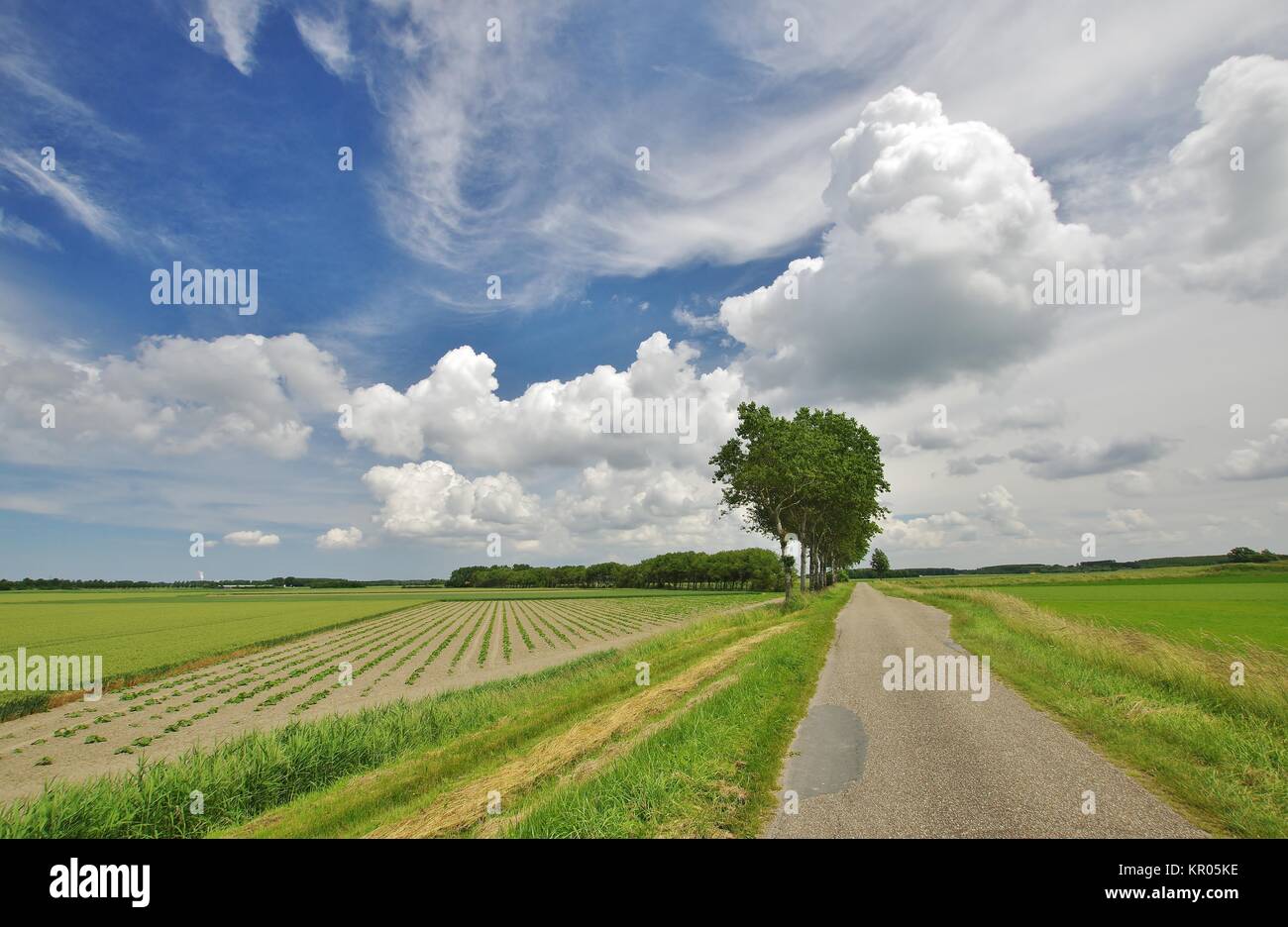 Dikes netherlands hi-res stock photography and images - Alamy