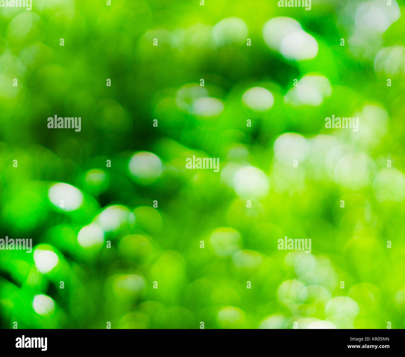 Horizontal vivid green bokeh background backdrop Stock Photo - Alamy