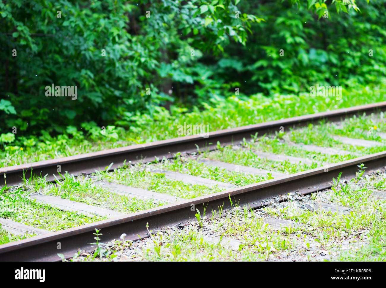 Diagonal old railroad track landscape background Stock Photo - Alamy