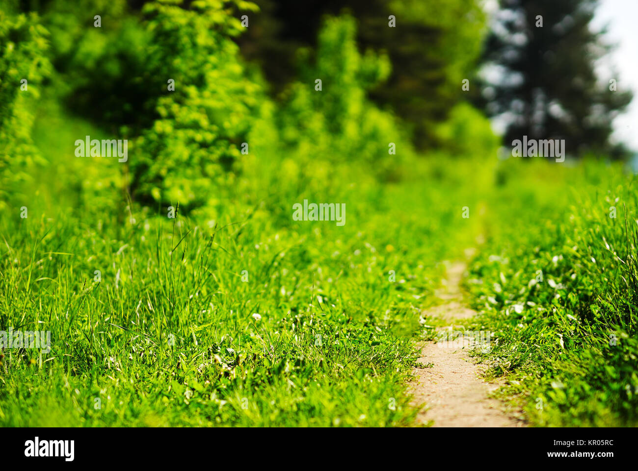 Horizontal landscape background Stock Photo - Alamy