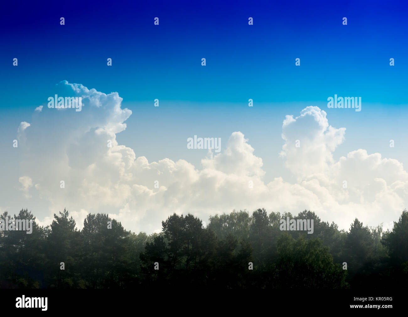 Dramatic clouds over the forest landscape background Stock Photo - Alamy