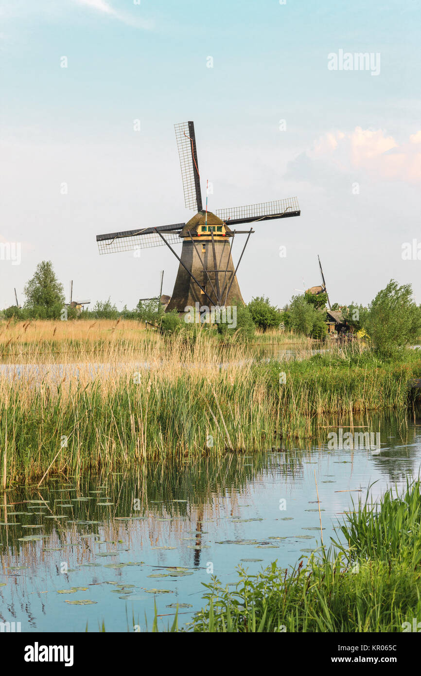 Traditional Dutch windmills with green grass in the foreground, The ...
