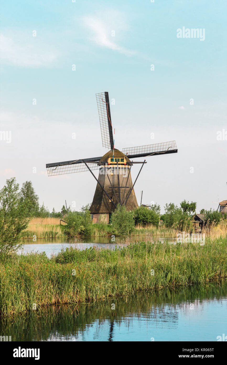 Traditional Dutch windmills with green grass in the foreground, The ...